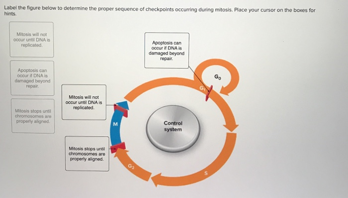 Solved Label the figure below to determine the proper | Chegg.com