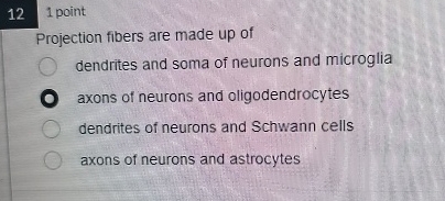Solved 121 ﻿pointProjection fibers are made up ofdendrites | Chegg.com