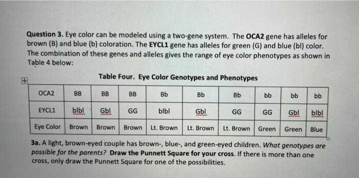 Solved Question 3. Eye color can be modeled using a two-gene | Chegg.com