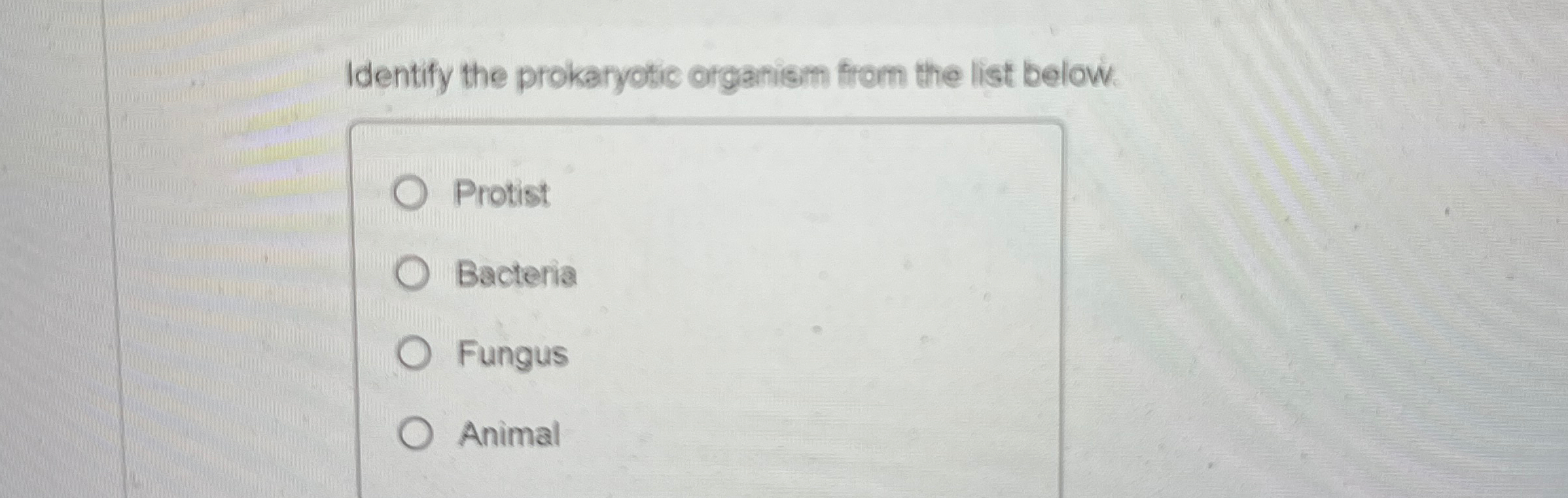 Solved Identify the prokaryotic organism from the list | Chegg.com