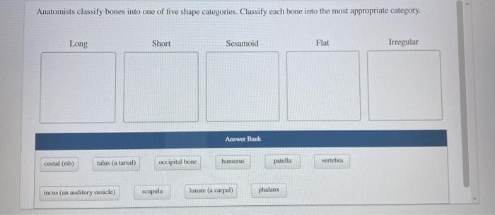 Solved Anatomists classify bones into one of five shape | Chegg.com