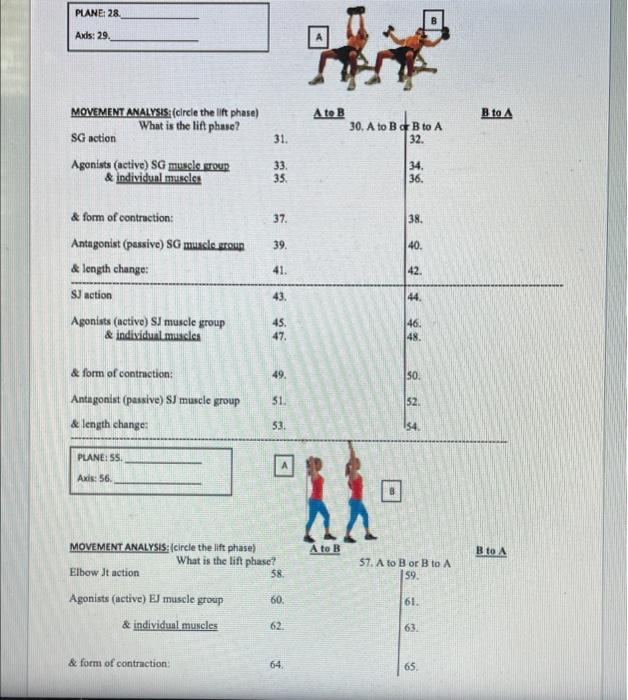 Solved NAME: Movement Analysis II - Upper Extremity PLANE 1 | Chegg.com