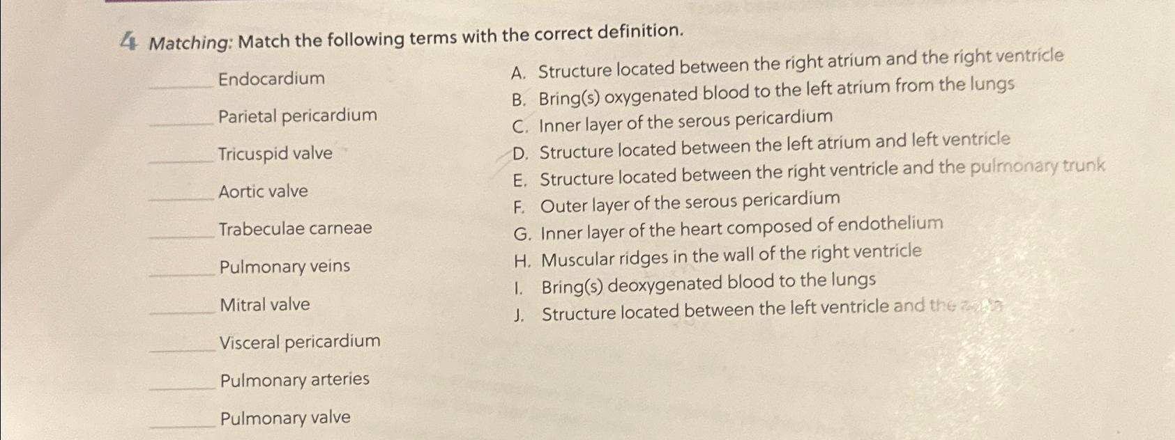 Solved 4 ﻿Matching: Match the following terms with the | Chegg.com