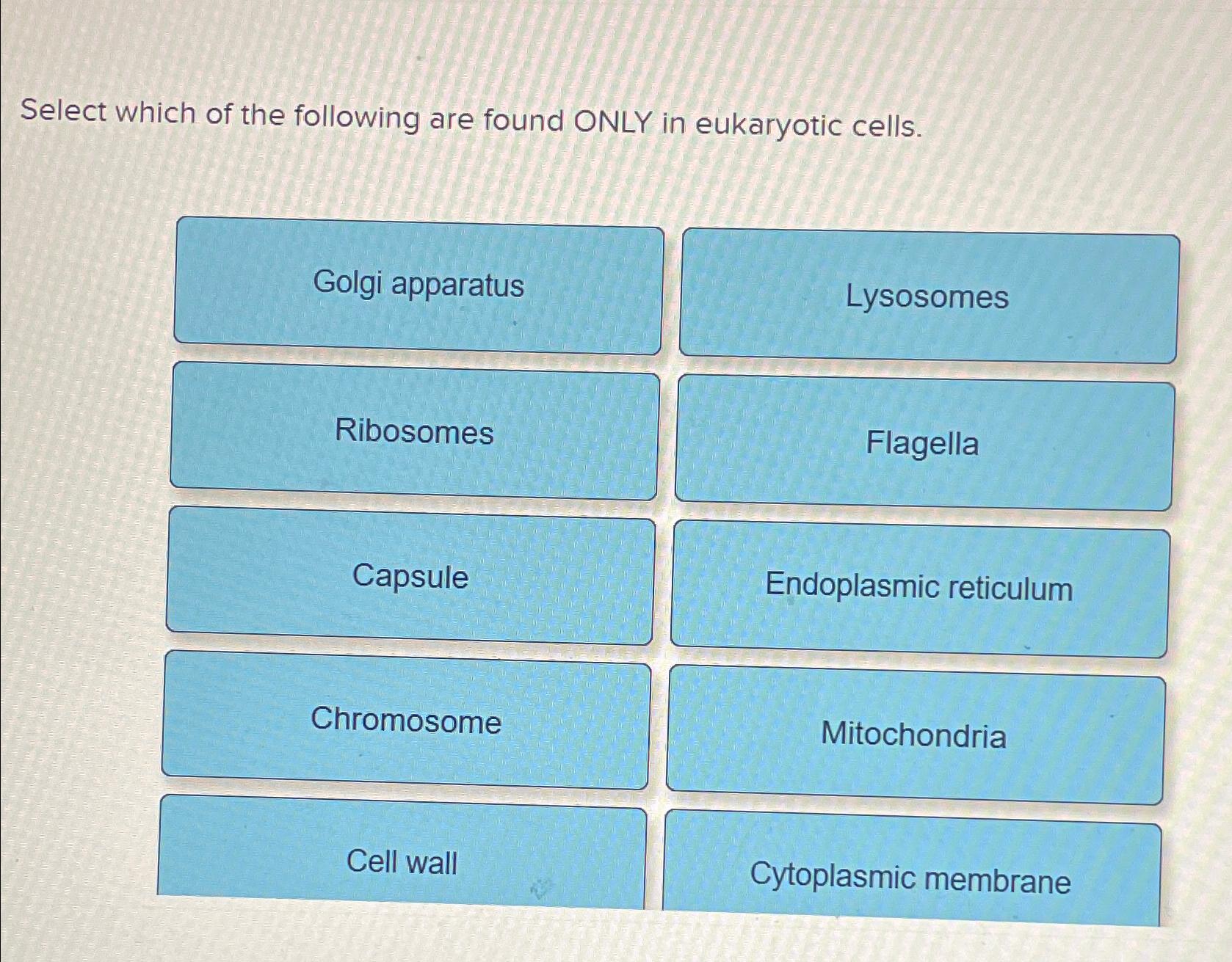 Solved Select which of the following are found ONLY in | Chegg.com
