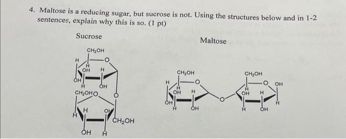 Solved 4. Maltose is a reducing sugar, but sucrose is not. | Chegg.com