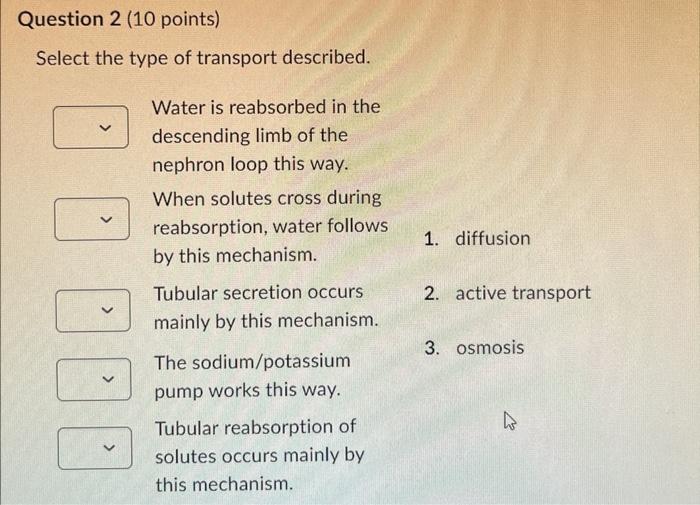 Solved Question 2 (10 points) Select the type of transport | Chegg.com