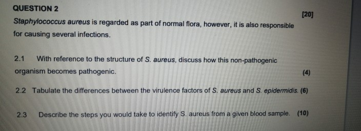 Solved [20] QUESTION 2 Staphylococcus aureus is regarded as | Chegg.com