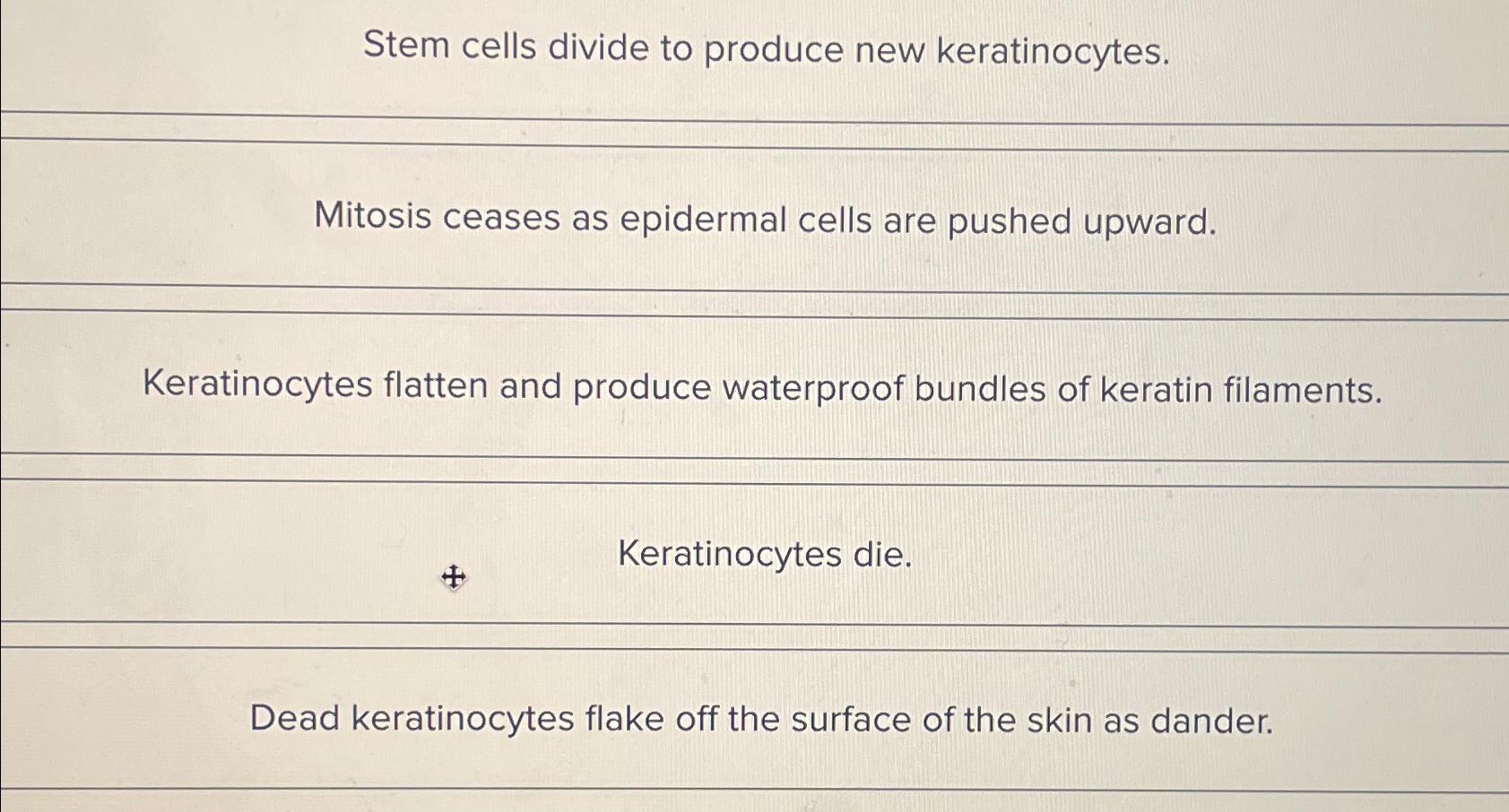 Solved Stem cells divide to produce new | Chegg.com