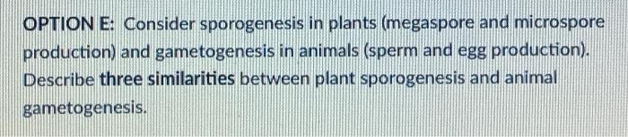 Solved OPTION E: Consider sporogenesis in plants (megaspore | Chegg.com
