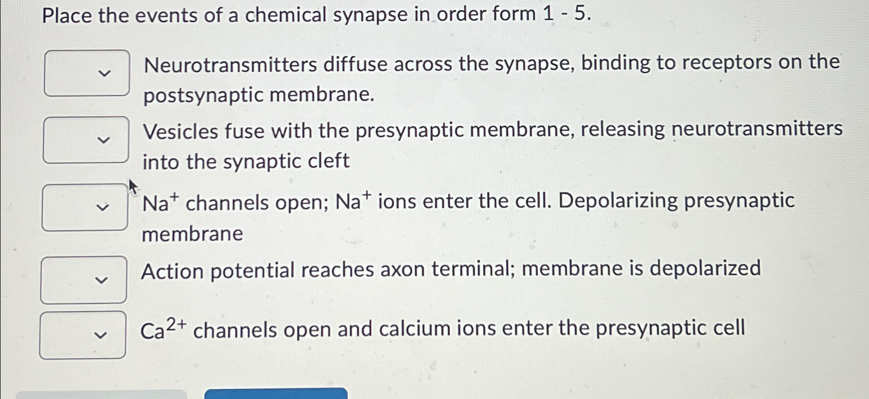 Solved Place the events of a chemical synapse in order form | Chegg.com