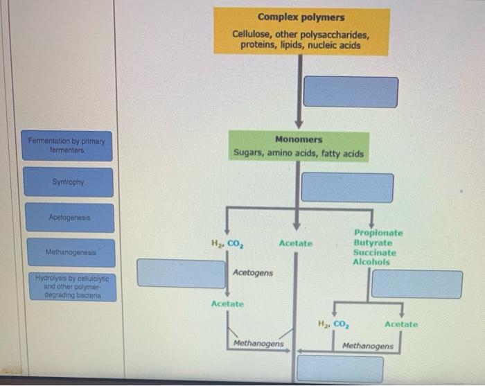 Solved Identify the metabolic pathway that is using carbon | Chegg.com