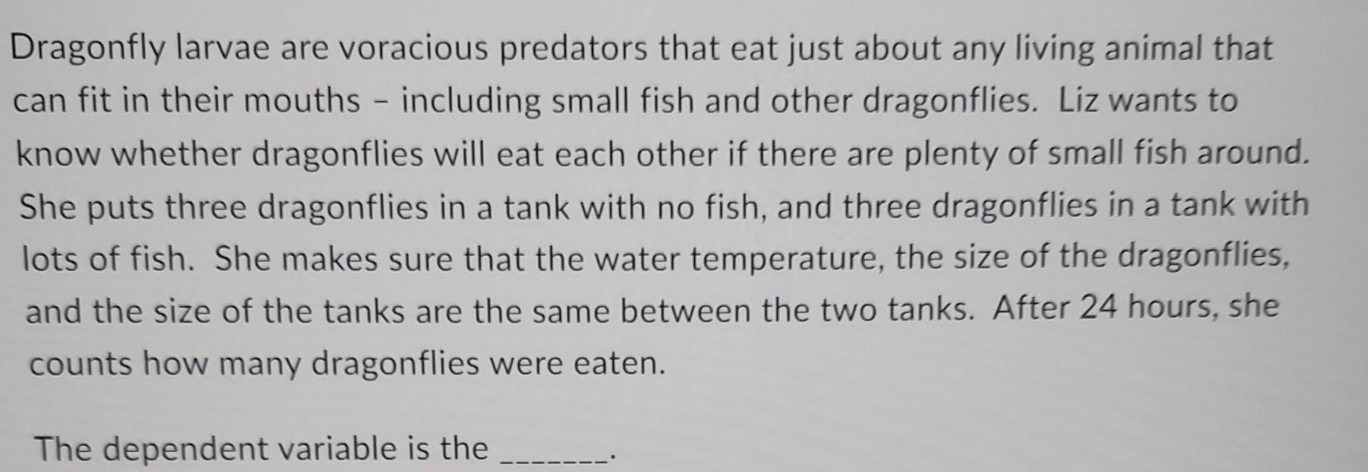 Solved Dragonfly larvae are voracious predators that eat | Chegg.com