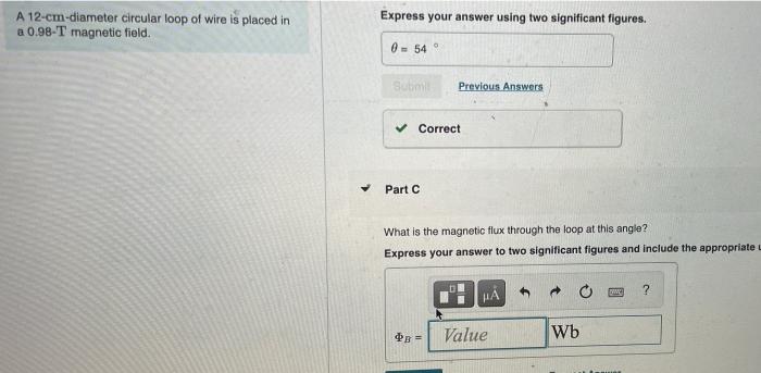 Solved A 12-cm-diameter circular loop of wire is placed in | Chegg.com