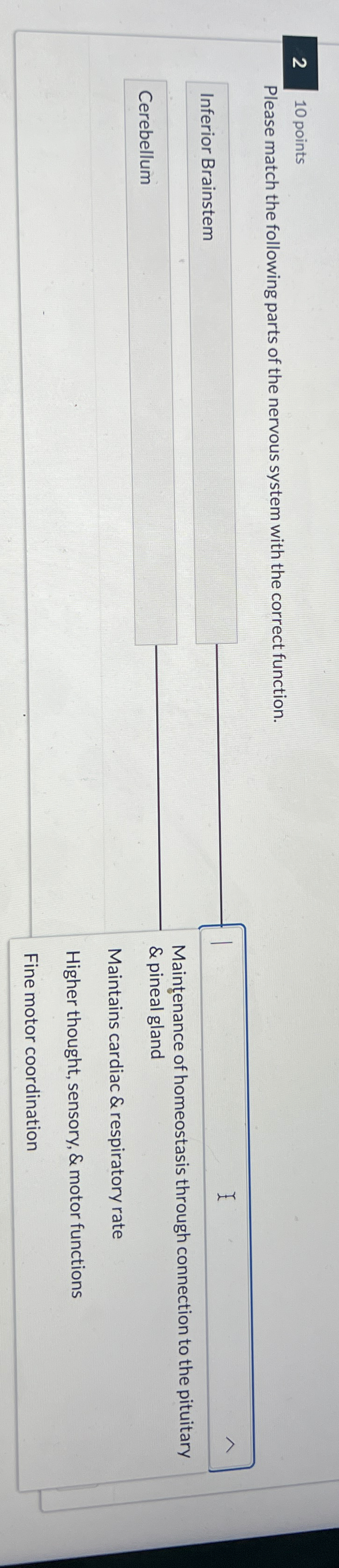 Solved 10 ﻿pointsPlease match the following parts of the | Chegg.com