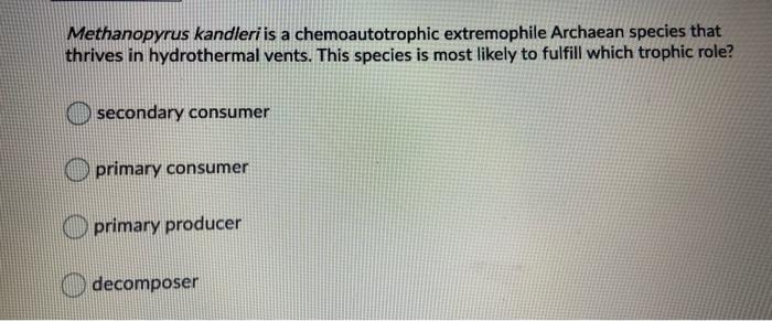 Methanopyrus Kandleri