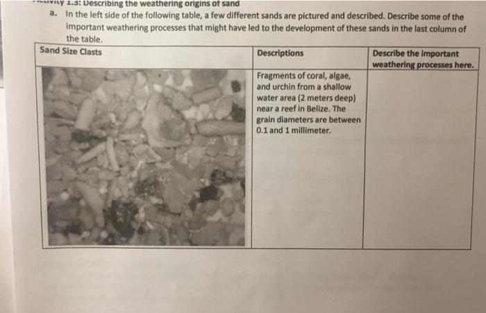Solved Sedimentary Rocks Lab Answers Sheet a. In the left | Chegg.com