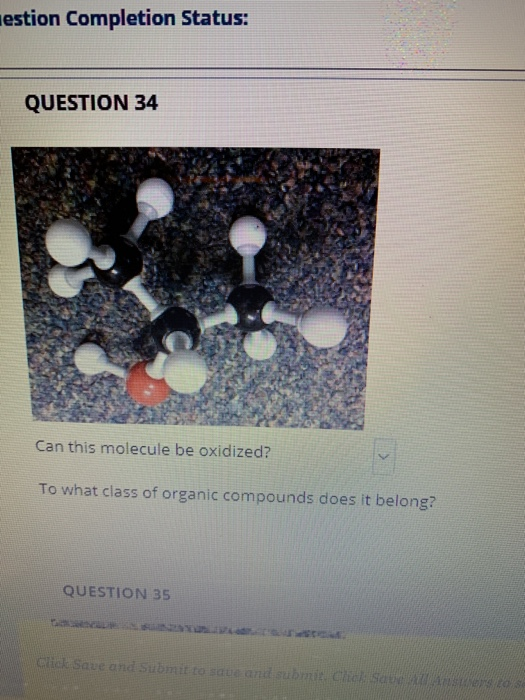 Solved estion Completion Status: QUESTION 34 Can this | Chegg.com Solved estion Completion Status: QUESTION 34 Can this | Chegg.com