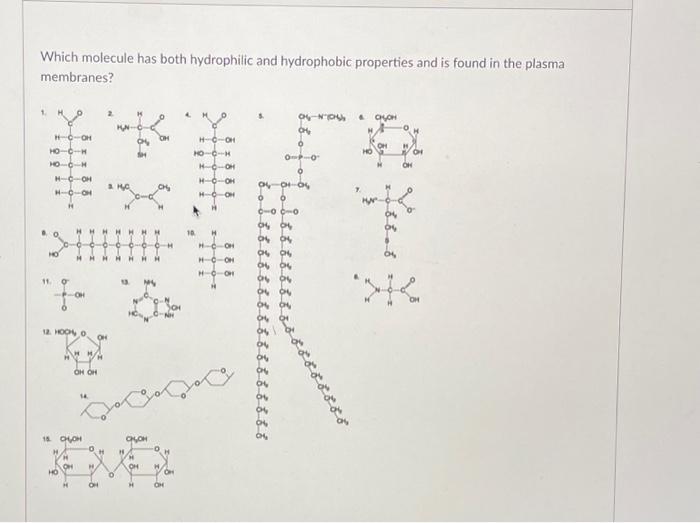 Solved Which molecule has both hydrophilic and hydrophobic | Chegg.com