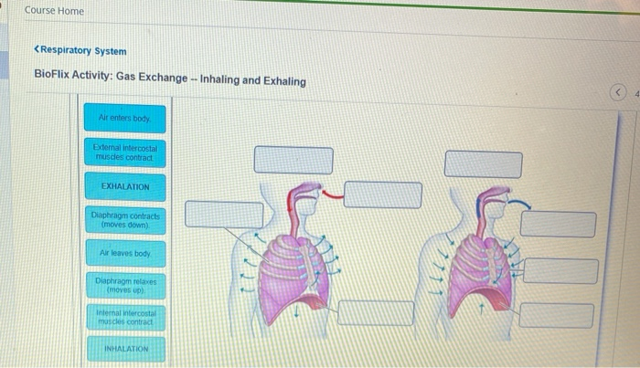 Solved Course Home | Chegg.com