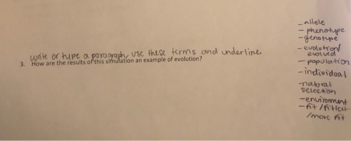 Solved Breeding Bunnies: Discussion Questions Trlyecome data | Chegg.com