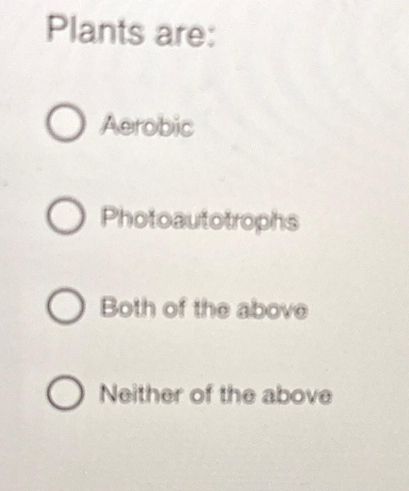 Solved Plants are:AerobicPhotoautotrophsBoth of the | Chegg.com