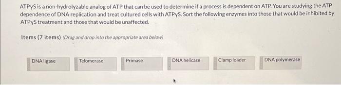 Solved ATPYS is a non-hydrolyzable analog of ATP that can be | Chegg.com