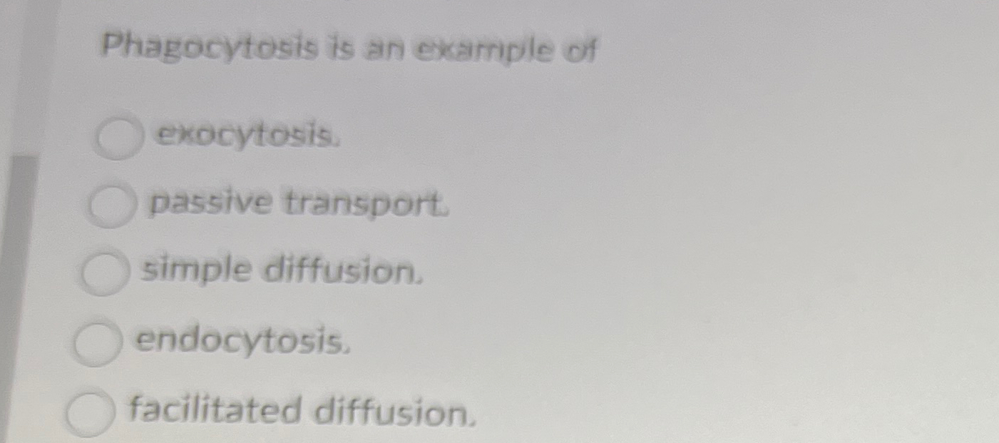 Solved Phagocytosis is an exampie ofexacytosis.passive | Chegg.com