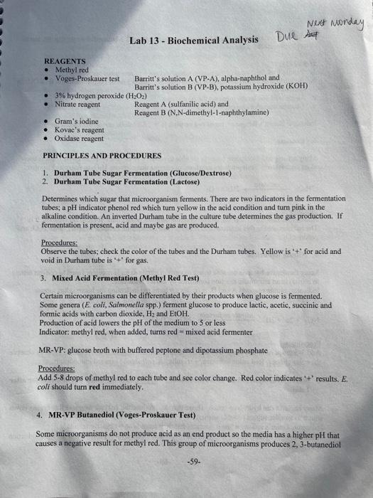 Solved Write 2 abstracts for lab 12 & 13 and combined | Chegg.com