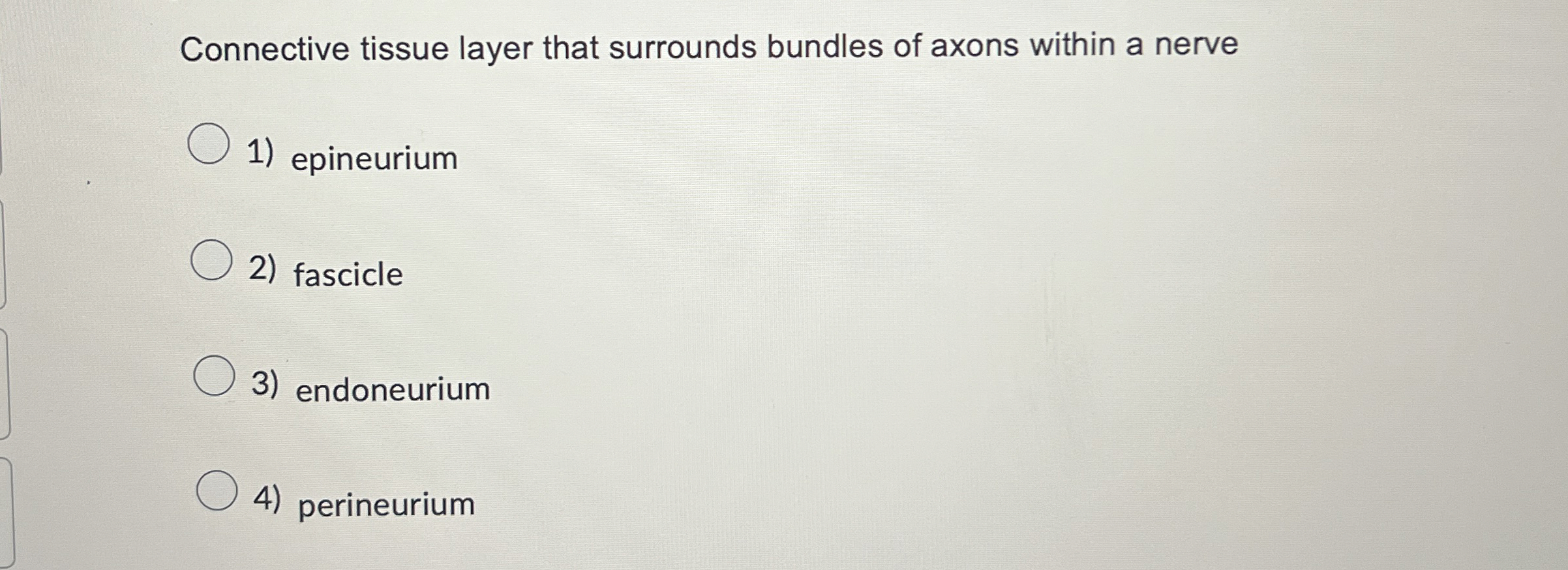 Solved Connective tissue layer that surrounds bundles of | Chegg.com