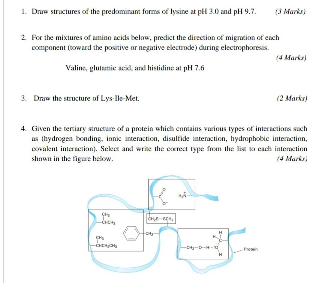 Solved 1. Draw structures of the predominant forms of lysine | Chegg.com