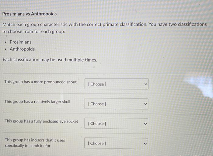 Solved Prosimians vs Anthropoids Match each group | Chegg.com