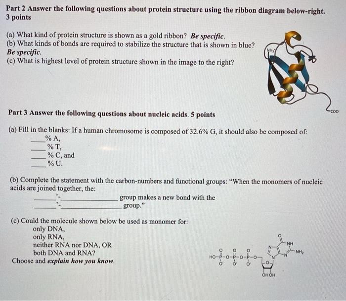 Solved Part 2 Answer the following questions about protein | Chegg.com