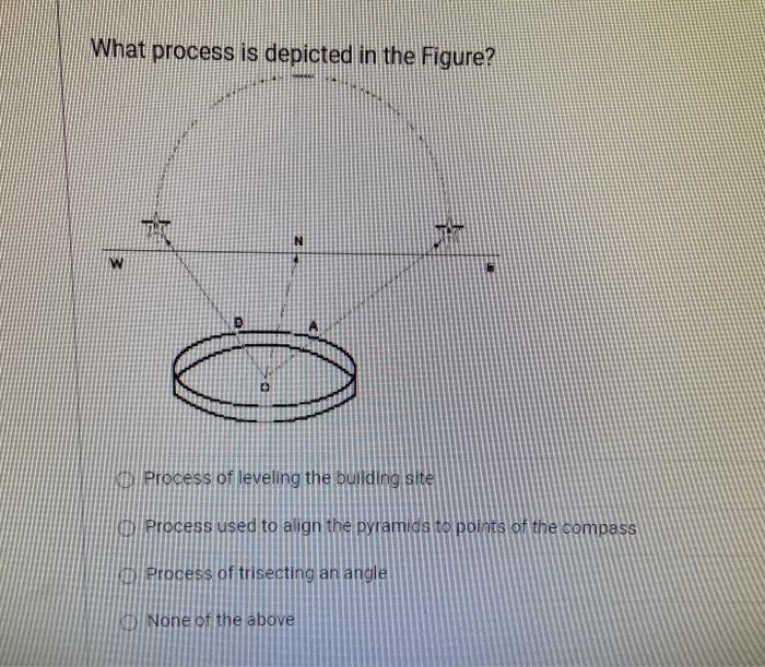 Solved What process is depicted in the Figure? W KD Process | Chegg.com