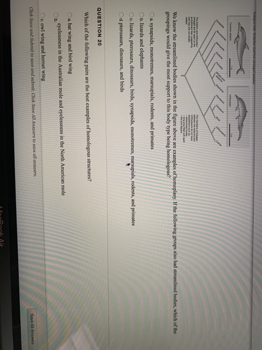 Solved We know the streamlined bodies shown in the figure | Chegg.com