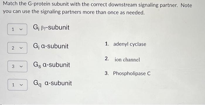 Solved Match the G-protein subunit with the correct | Chegg.com