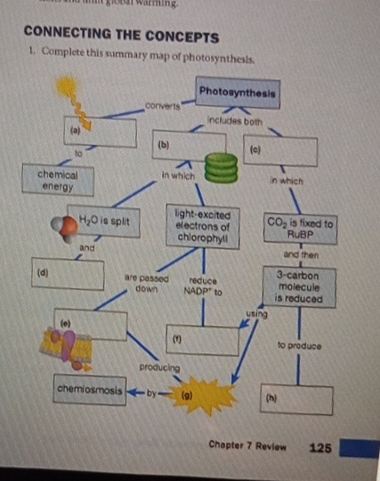Solved CONNECTING THE CONCEPTSComplete this summary map of | Chegg.com
