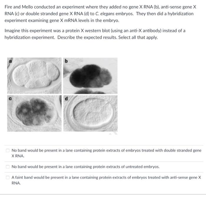 Solved Fire and Mello conducted an experiment where they | Chegg.com
