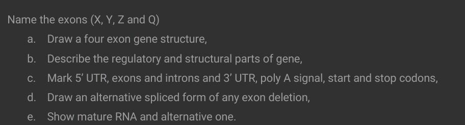 Solved Name the exons (X, Y, Z and Q) Draw a four exon gene | Chegg.com