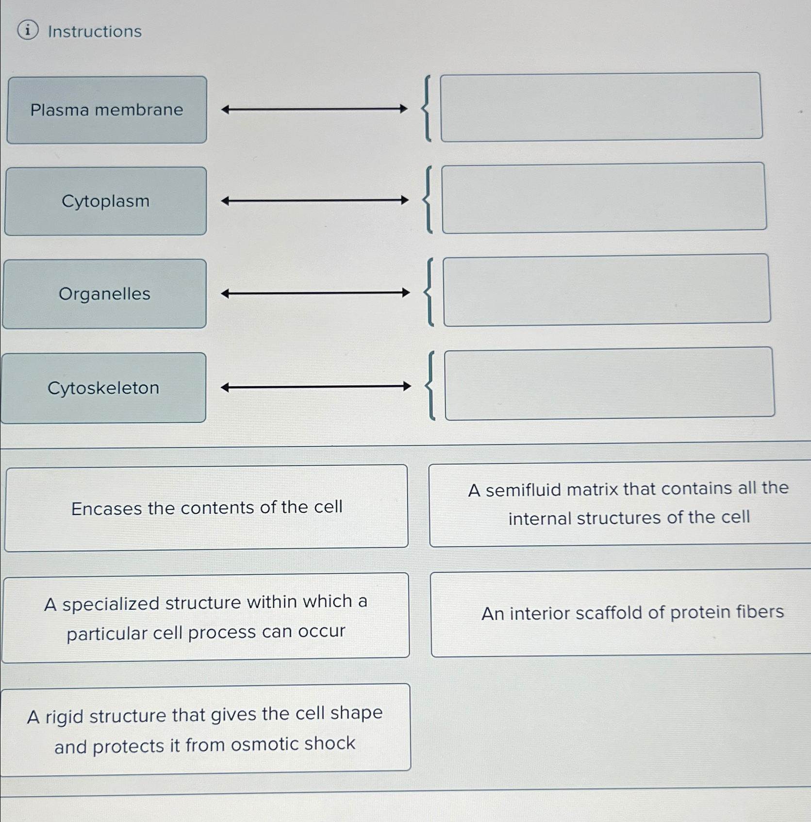 Solved (i) ﻿InstructionsEncases the contents of the cellA | Chegg.com