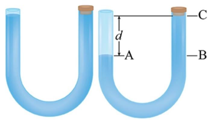 Solved (11\%) Problem 5: A vertical U-shaped tube is filled | Chegg.com