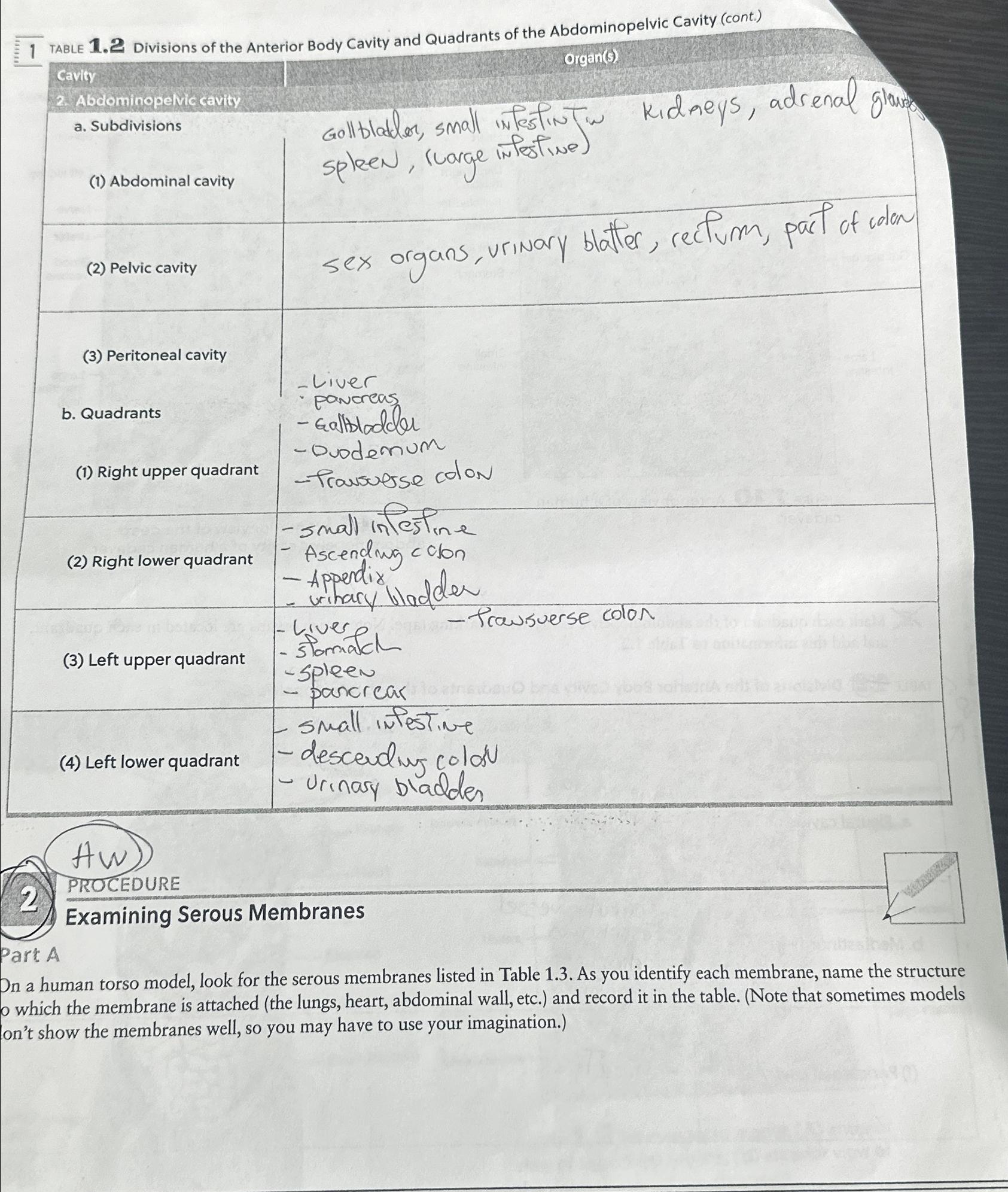 Solved 1 ﻿TABLE 1.2 ﻿Divisions of the Anterior Body Cavity | Chegg.com