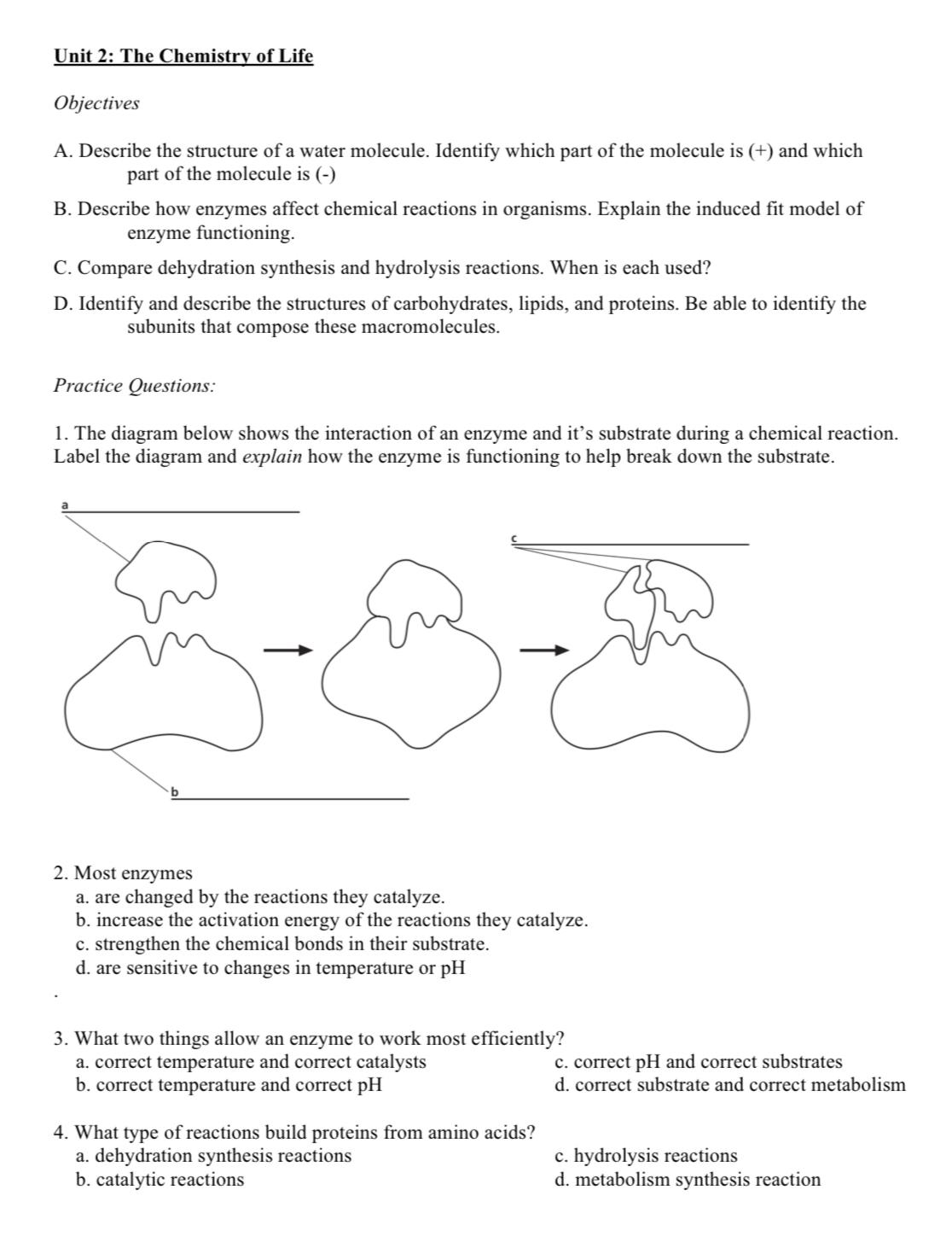 Solved Unit 2: The Chemistry of LifeObjectivesA. ﻿Describe | Chegg.com