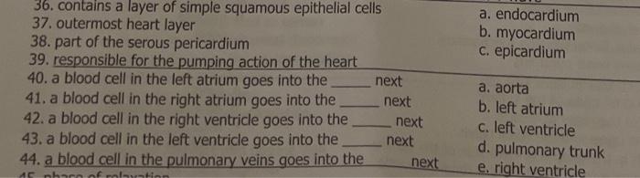 Solved 36. contains a layer of simple squamous epithelial | Chegg.com