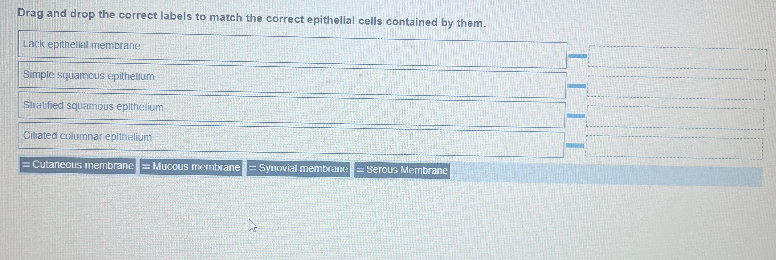 Solved Drag and drop the correct labels to match the correct | Chegg.com