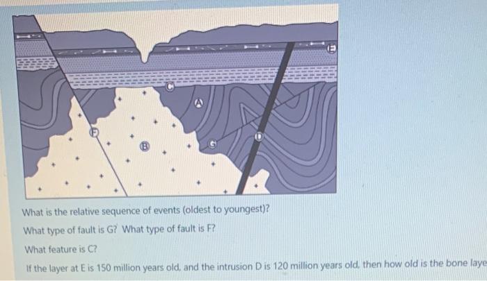 Solved What is the relative sequence of events (oldest to | Chegg.com
