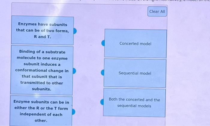 Enzymes have subunits that can be of two forms, R and | Chegg.com