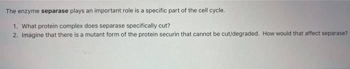 Solved The enzyme separase plays an important role is a | Chegg.com