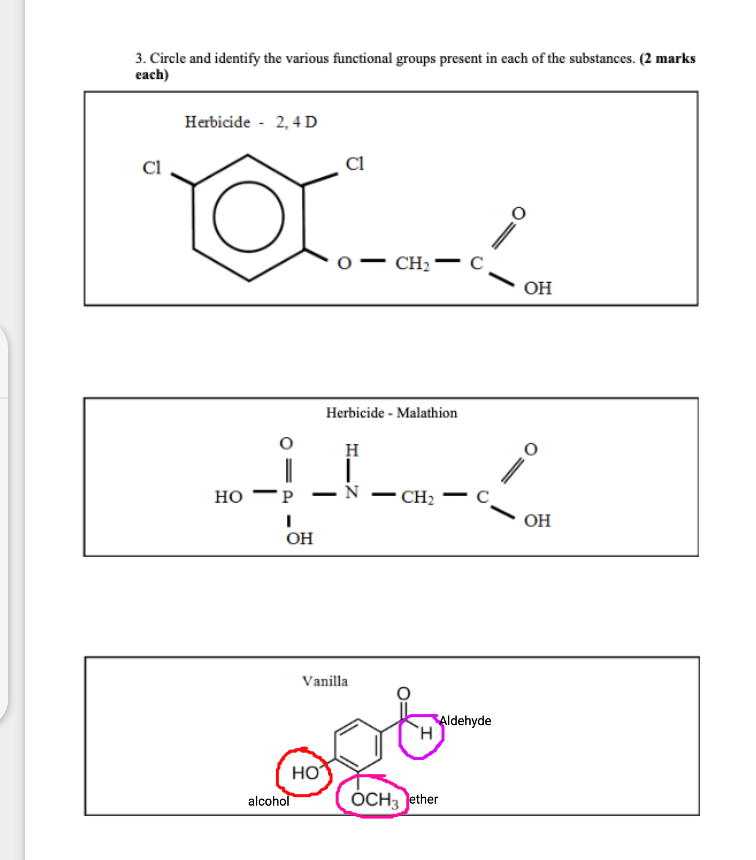 Solved Circle and identify the various functional groups | Chegg.com