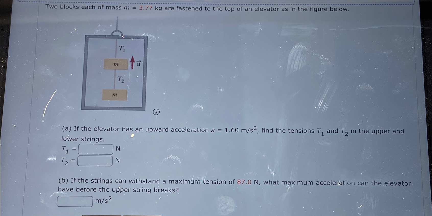 Solved Two blocks each of mass m=3.77kg ﻿are fastened to the | Chegg.com