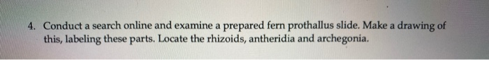Solved 4. Conduct a search online and examine a prepared | Chegg.com